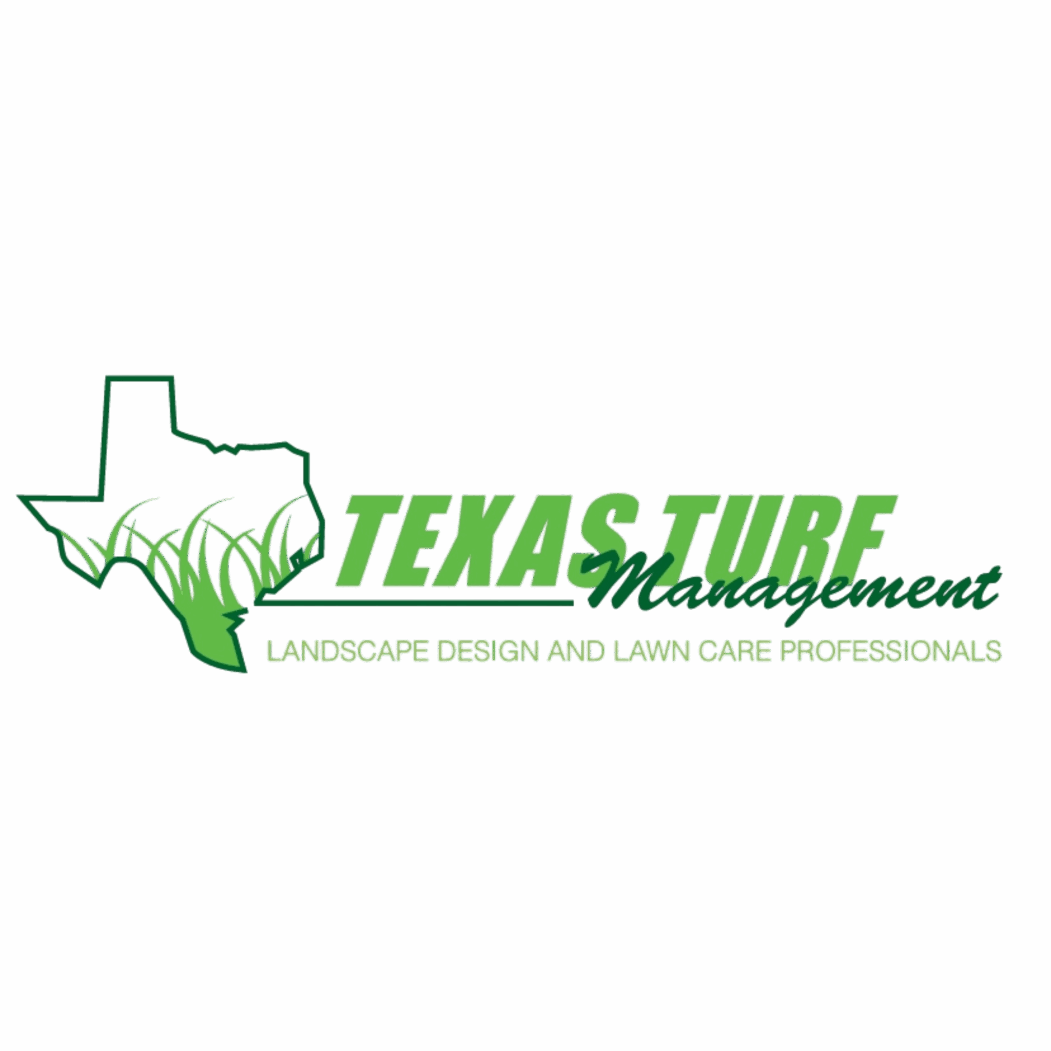 North Houston Elite Volleyball Club Beginner Volleyball Club